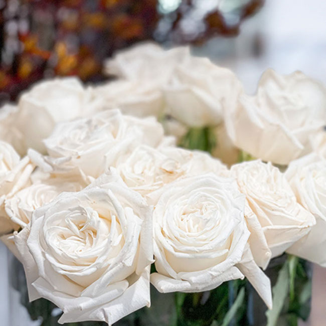 rose and co flowers - GRAND BOULEVARD